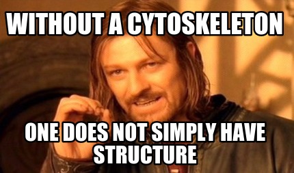 Meme Creator - Without a cytoskeleton One does not simply have structure